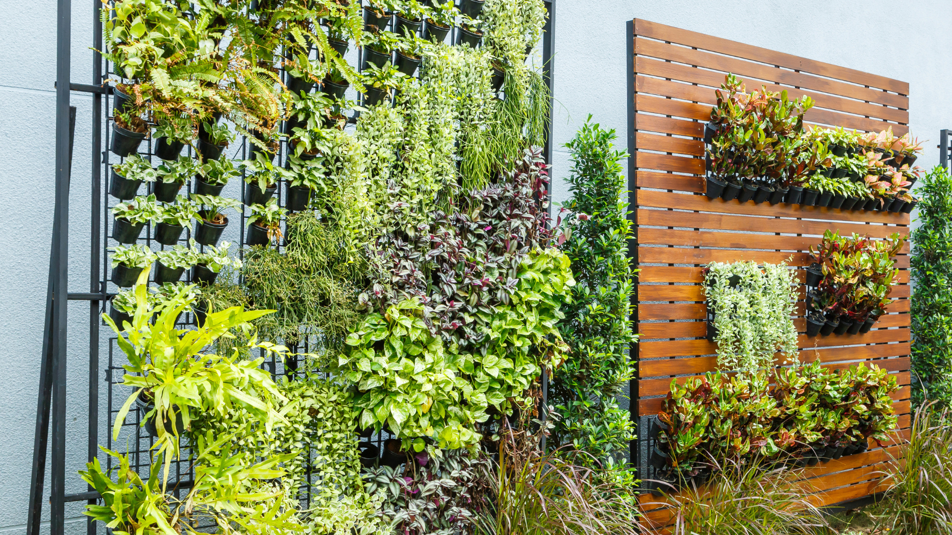 Vertical Gardens Efficient Setups - My Backyard Oasis