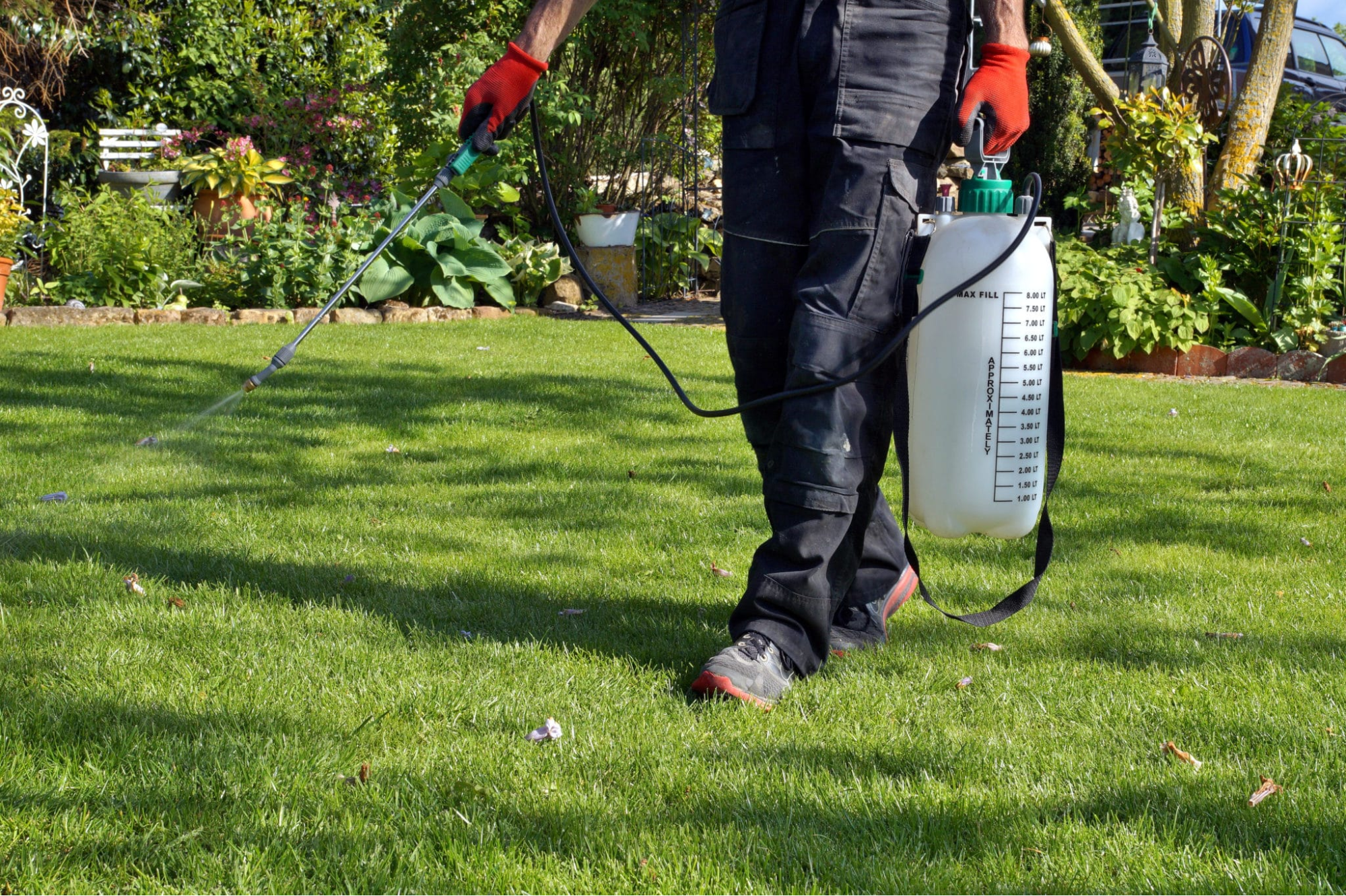 Lawn Weed Control: Solutions with Pre- and Post-Emergent Methods - My ...